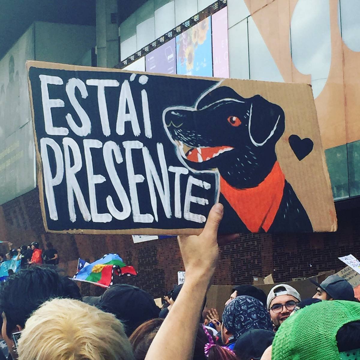 Boric contra el “perro matapacos” era una imagen “ofensiva y denigrante”